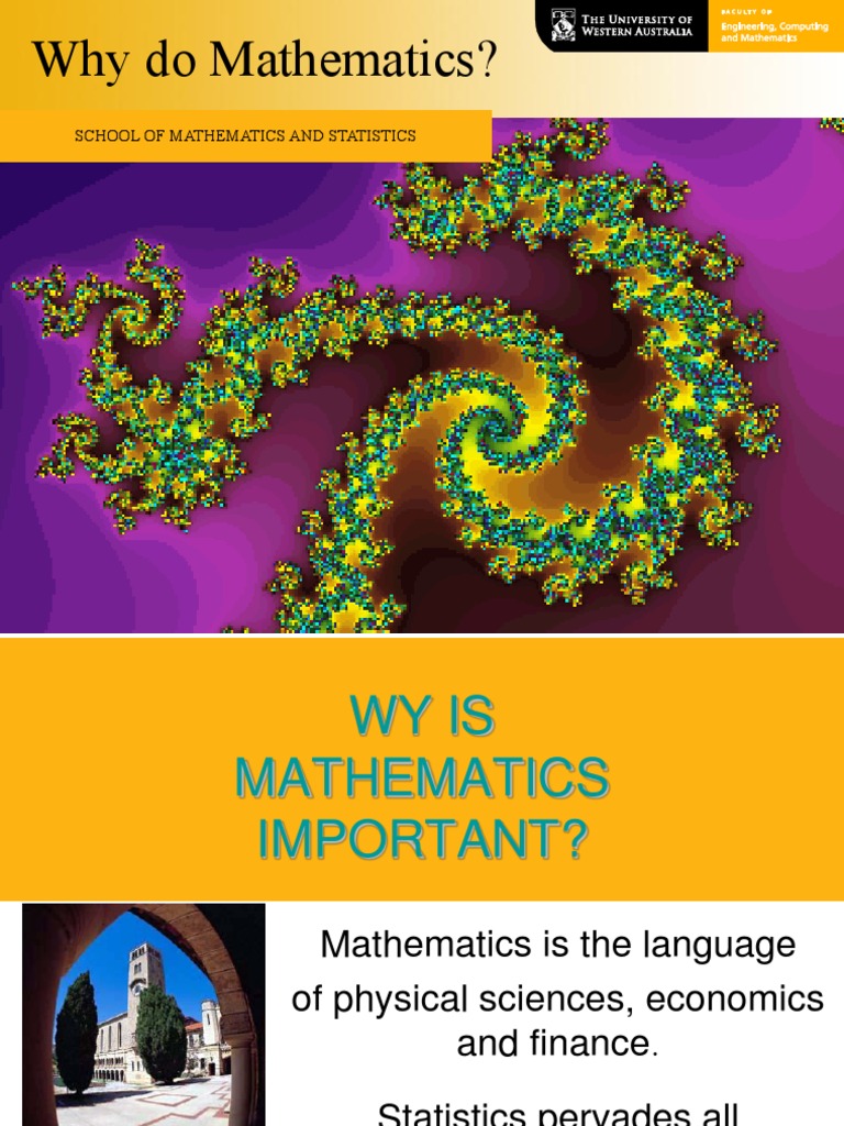Why Do Mathematics | PDF | Teaching Mathematics | Engineering