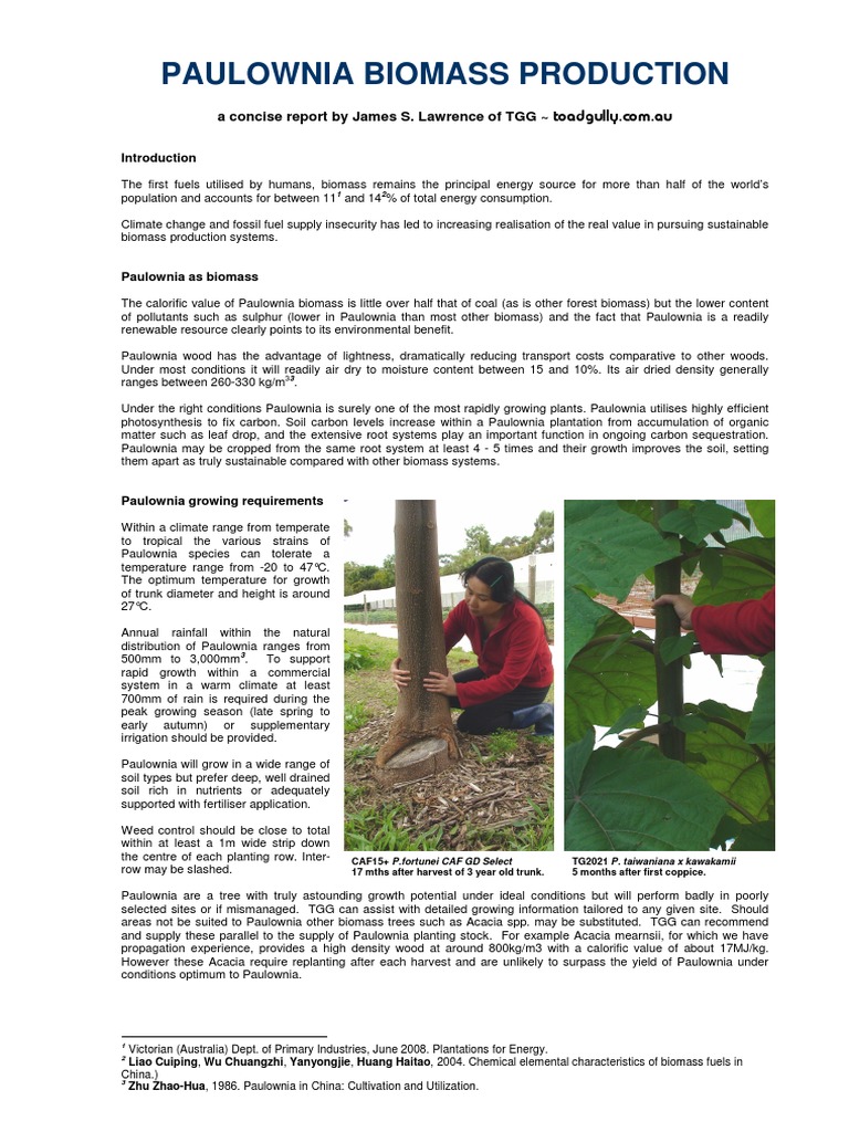 Paulownia Biomass Production | PDF | Biomass | Soil