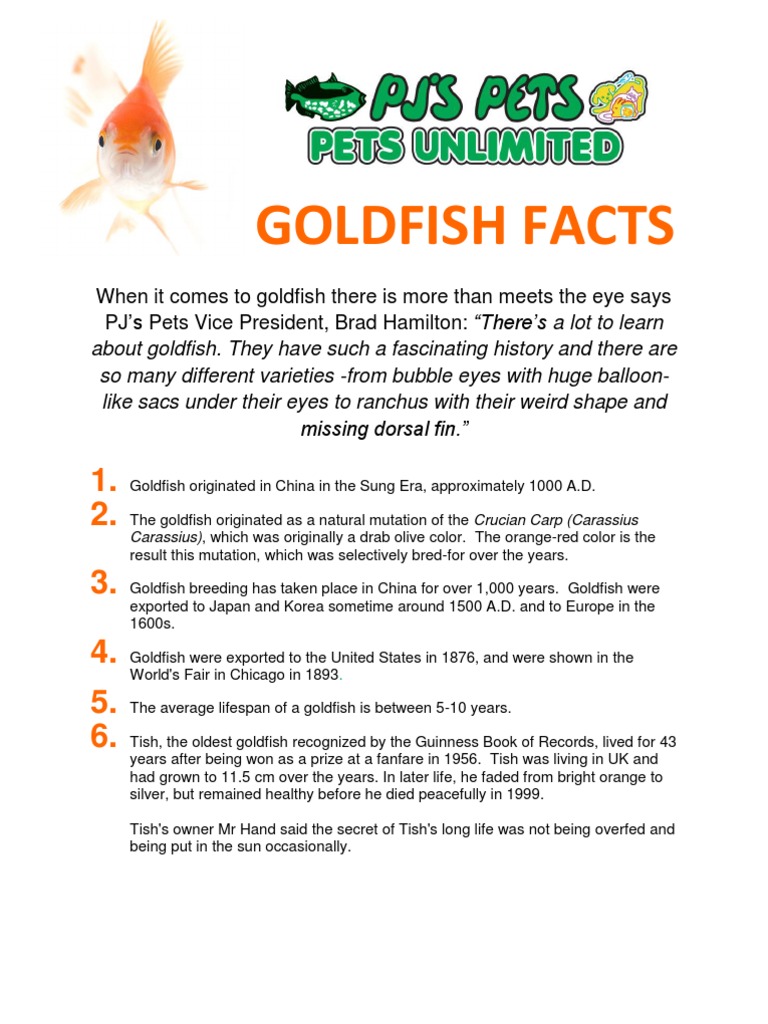 Goldfish Facts | Aquarium | Water