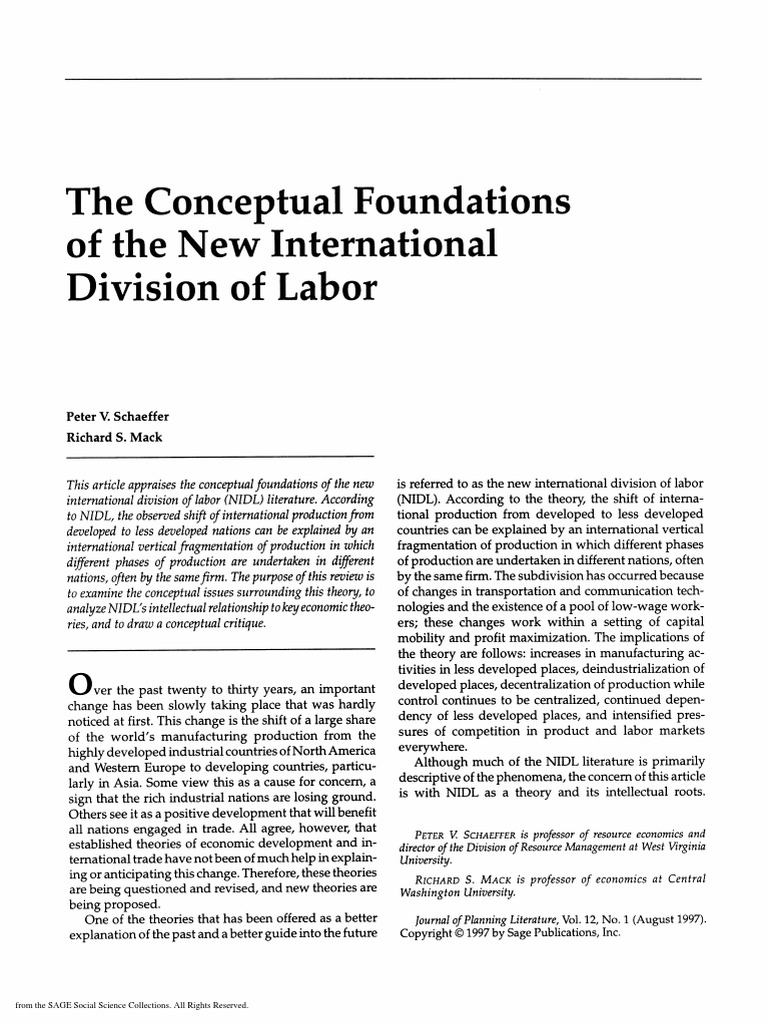 Conceptual Foundations of NIDL Theory | PDF