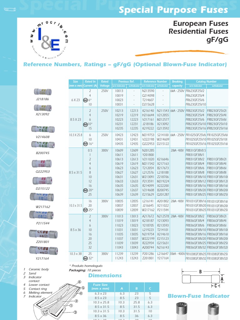 Special Purpose Fuses | PDF | Fuse (Electrical) | Electricity