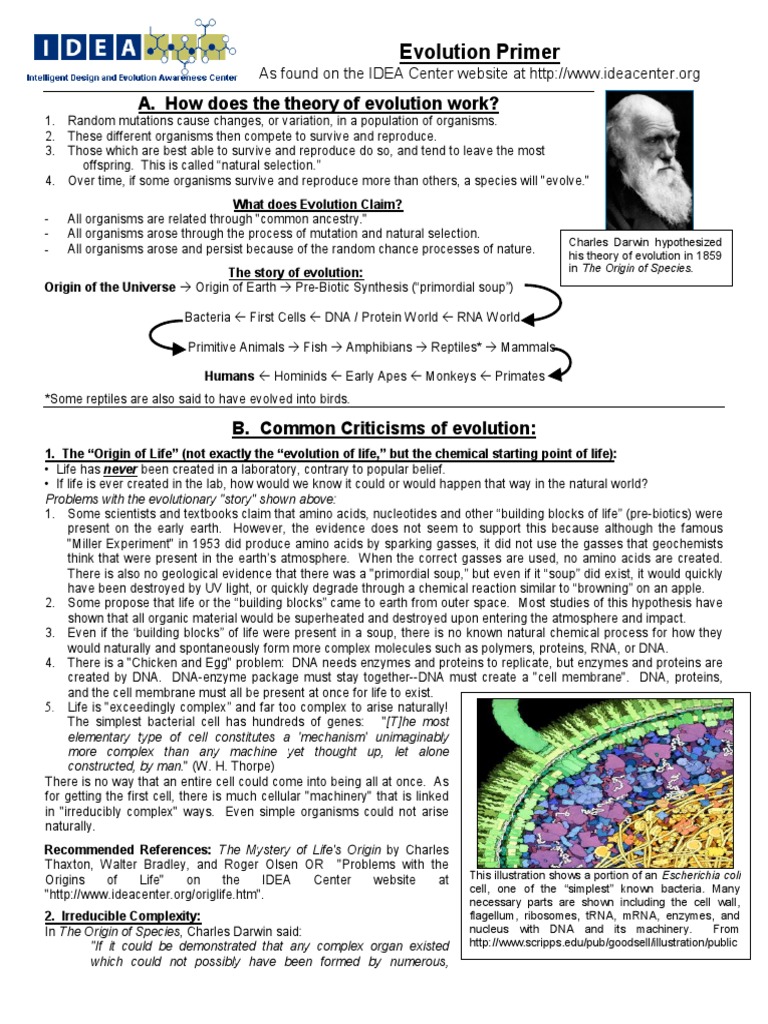 A. How Does The Theory of Evolution Work? | PDF | Evolution | Abiogenesis