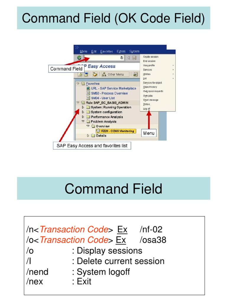SAP Command Field Guide | PDF