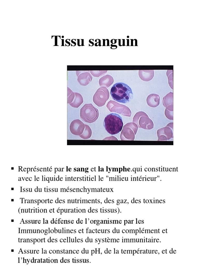 Tissu Sanguin | Globule blanc | Thrombocyte