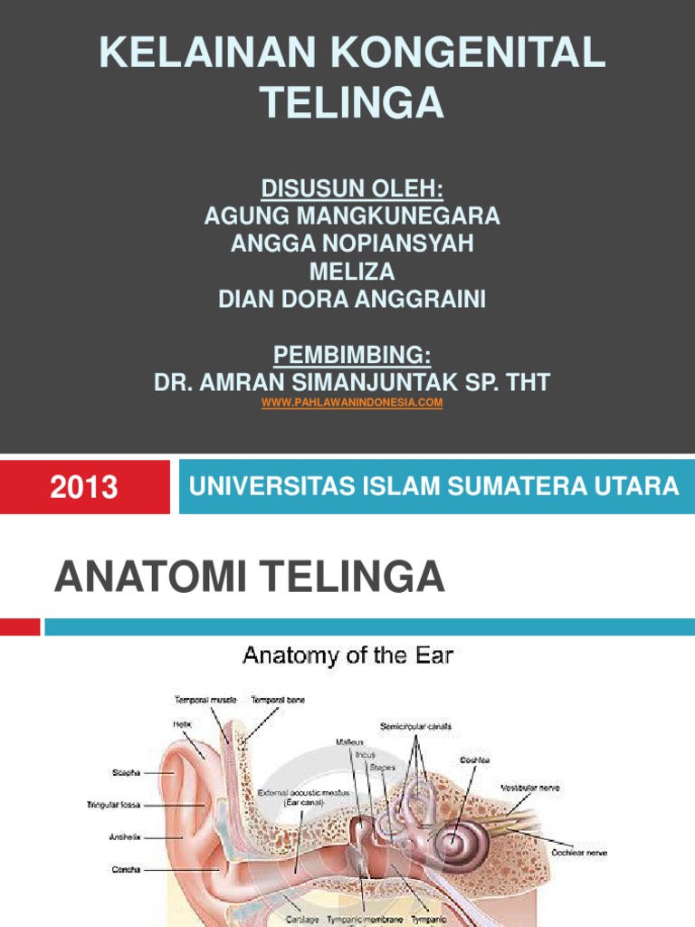 Kelainan Kongenital Telinga | PDF | Pengembangan Diri | Kesehatan Holistik