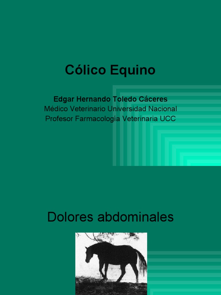 Cólico Equino en red | Sistema digestivo | Especialidades médicas