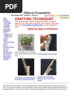 Seed Germination Report Sample (Easy) | PDF | Seedling | Seed