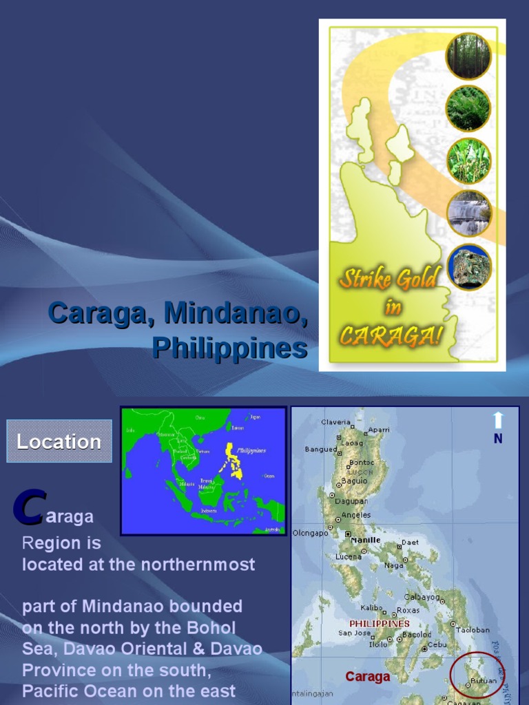 Overview of Caraga Region, Philippines | PDF | Agriculture | Food And Drink