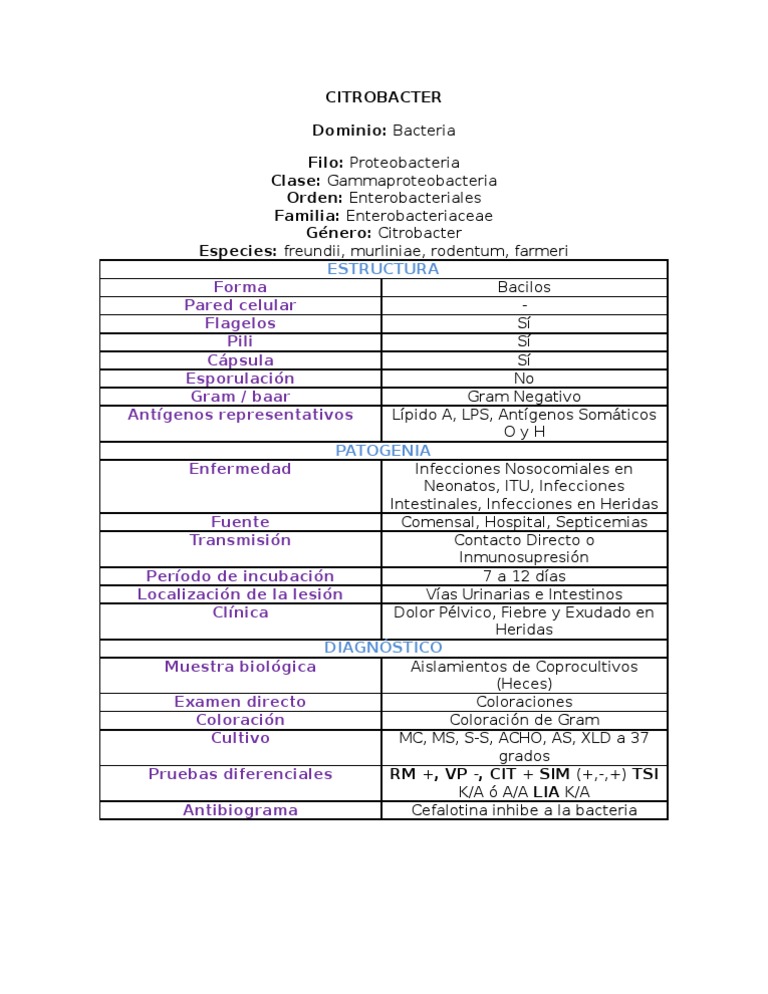 Citrobacter: Patogenia y Diagnóstico | PDF | Ciencia y matemáticas