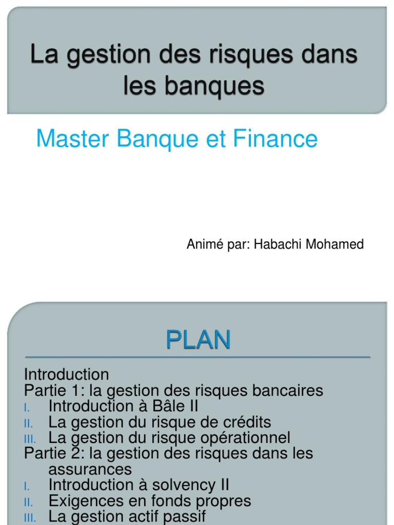 La Gestion Des Risques Dans Les Banques Et | Télécharger gratuitement PDF | Bâle II | Risque ...
