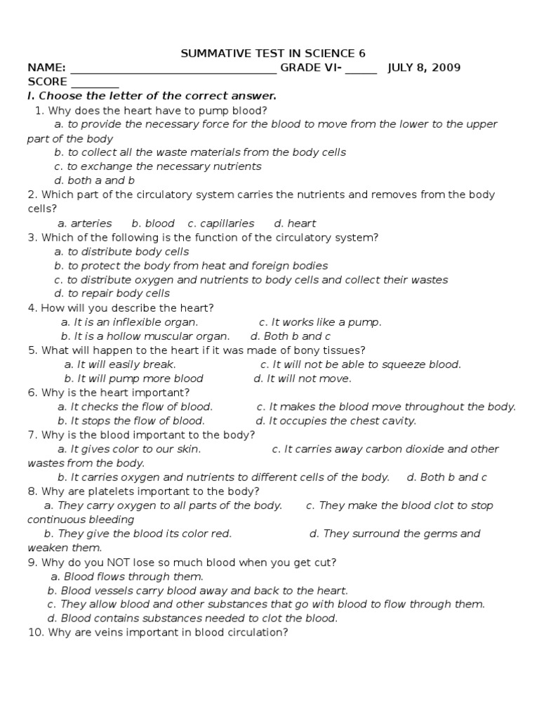 Circulatory System Summative Test Grade 6 | PDF | Human Body | Blood