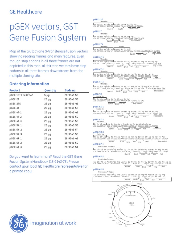 pGEX Vectors | PDF | Technology & Engineering