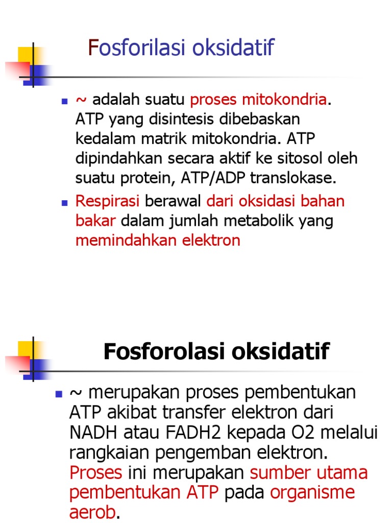 Fosforilasi Oksidatif | PDF