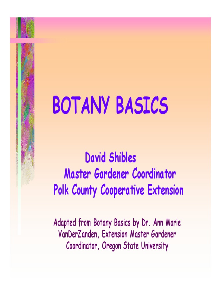 Botany Basics Essentials | PDF | Root | Fruit