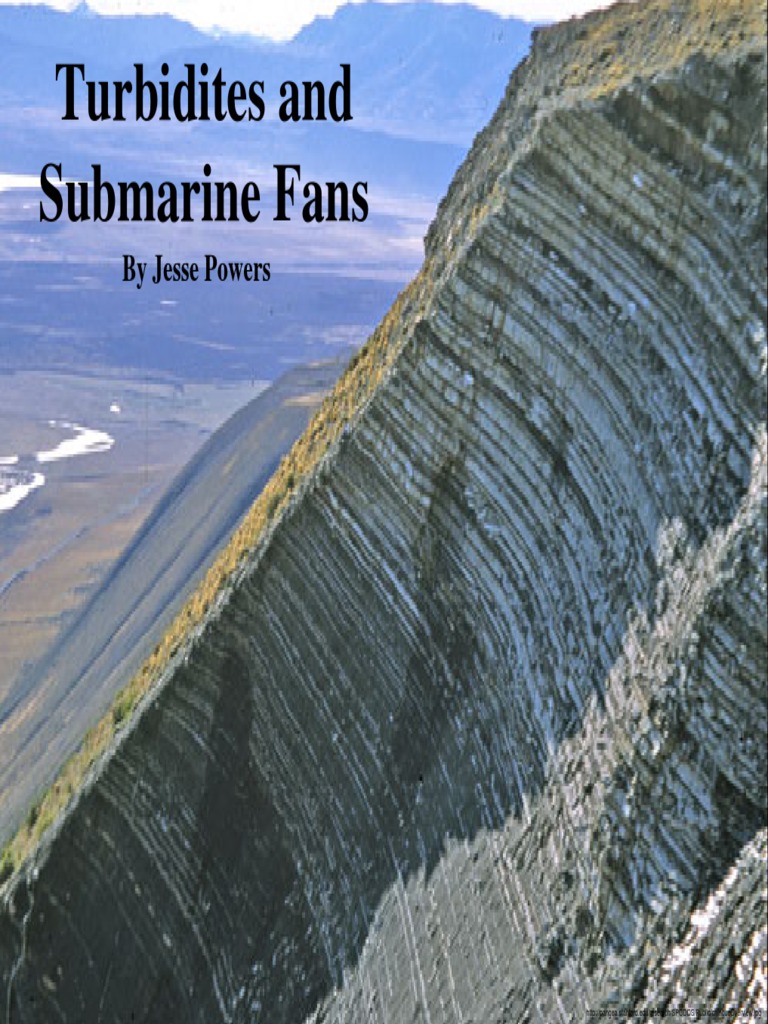 Turbidites and submarine fans: depositional environments and lithology ...