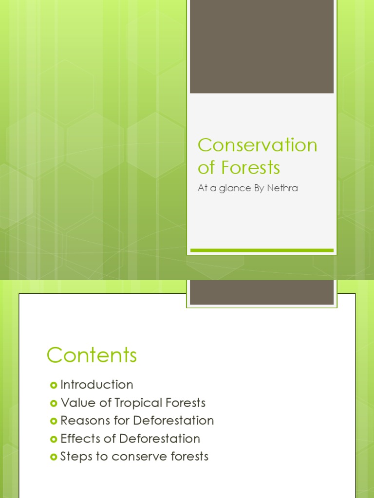 Conservation of Forests | PDF | Forests | Deforestation