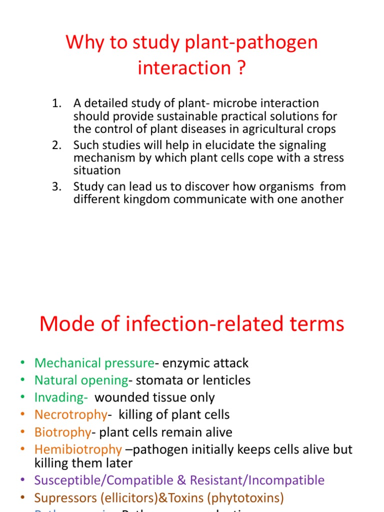 Understanding Plant-Pathogen Interactions | PDF | Epigenetics | Plant ...