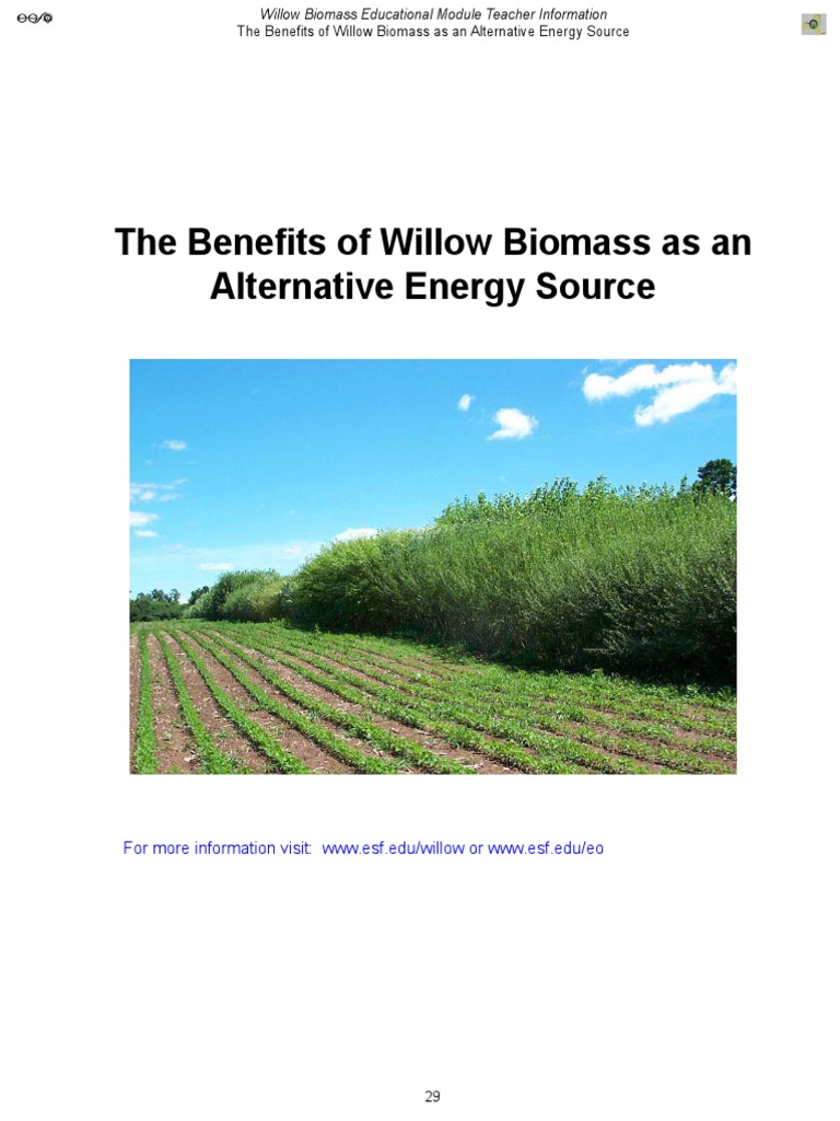 Willow As A Fuel | PDF | Biomass | Bioenergy
