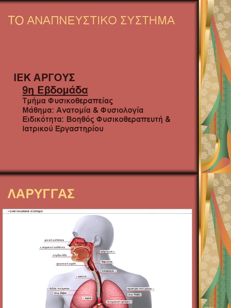 TO ΑΝΑΠΝΕΥΣΤΙΚΟ ΣΥΣΤΗΜΑ 9Η | PDF