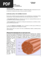 TO ΟΥΡΟΠΟΙΗΤΙΚΟ ΣΥΣΤΗΜΑ-ΑΝΑΤΟΜΙΑ | PDF