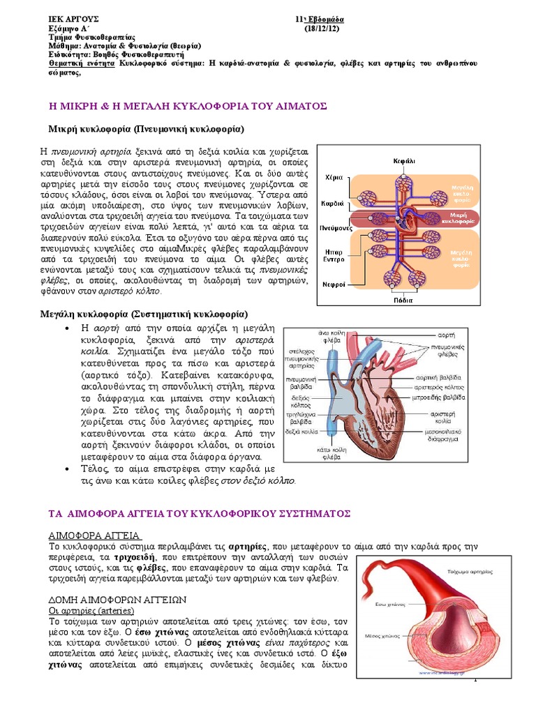 ΚΥΚΛΟΦΟΡΙΚΟ ΣΥΣΤΗΜΑ | PDF
