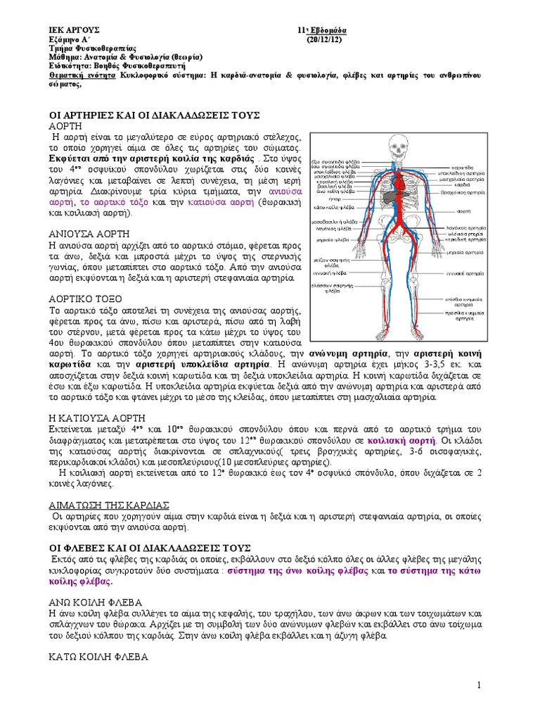 ΟΙ ΑΡΤΗΡΙΕΣ ΚΑΙ ΟΙ ΔΙΑΚΛΑΔΩΣΕΙΣ ΤΟΥΣ | PDF
