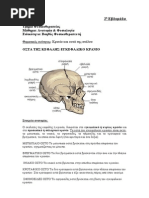 ΟΙ ΜΥΕΣ ΤΟΥ ΑΝΩ ΑΚΡΟΥ 5η Εβδομάδα | PDF