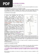 TO ΟΥΡΟΠΟΙΗΤΙΚΟ ΣΥΣΤΗΜΑ-ΑΝΑΤΟΜΙΑ | PDF