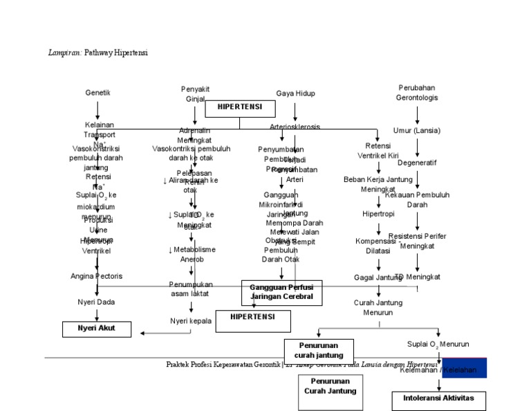Pathway Hipertensi | PDF