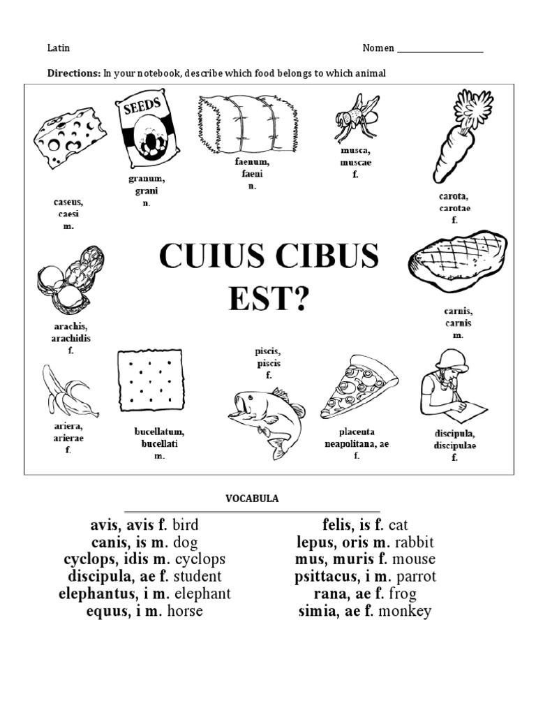 Latin Cuius 2 | PDF
