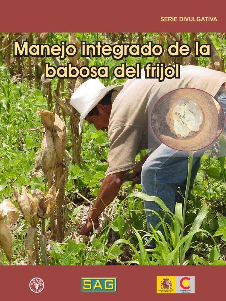 Babosa | PDF | Organización de Comida y Agricultura | Plaga (organismo)