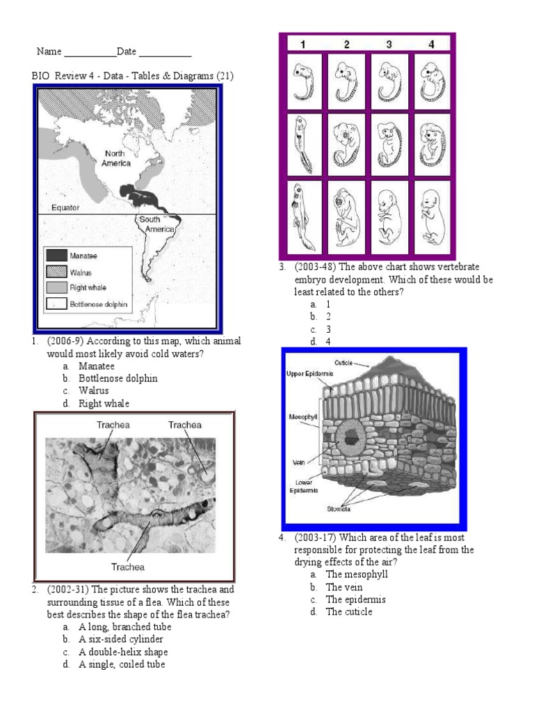 Biology Data Analysis Review | PDF | Cell (Biology) | Disinfectant