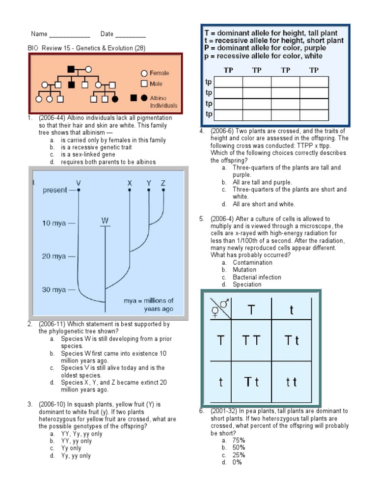 Bio Sol Review 15 - Genetics Evolution | PDF | Genetics | Biology