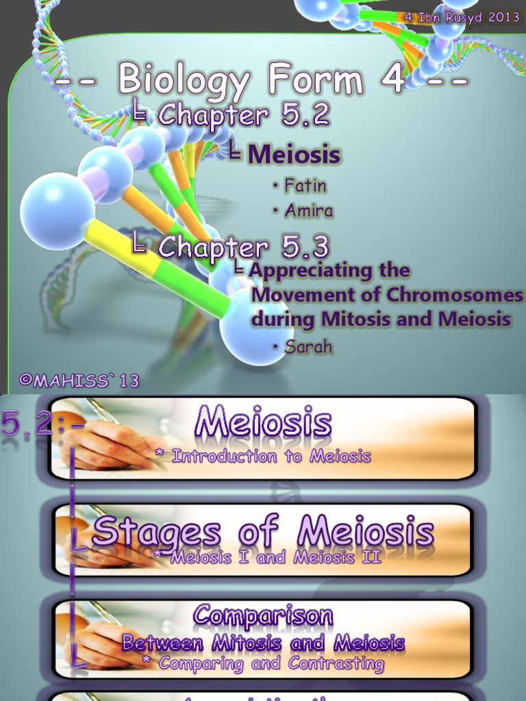 ''Meiosis | PDF | Meiosis | Ploidy