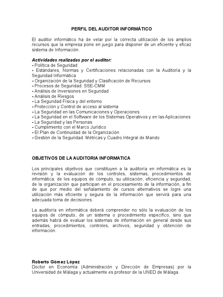 Guía del Auditor Informático: Funciones y Objetivos | PDF