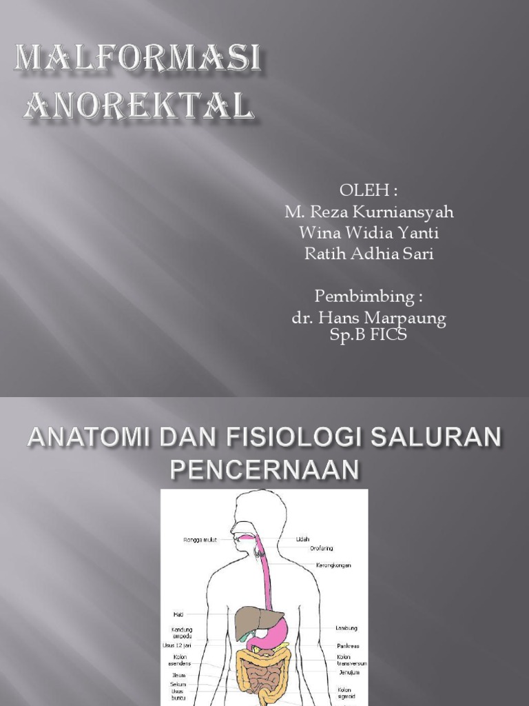 Malformasi Anorektal | PDF