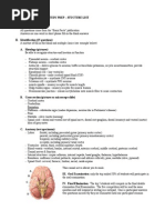 Brain Bee 2013 Study Guide Questions | PDF | Stimulus (Physiology ...