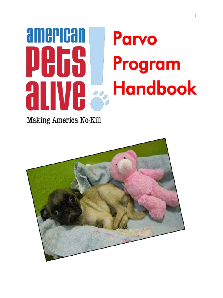 Parvo Handbook | PDF | Intravenous Therapy | Medicine