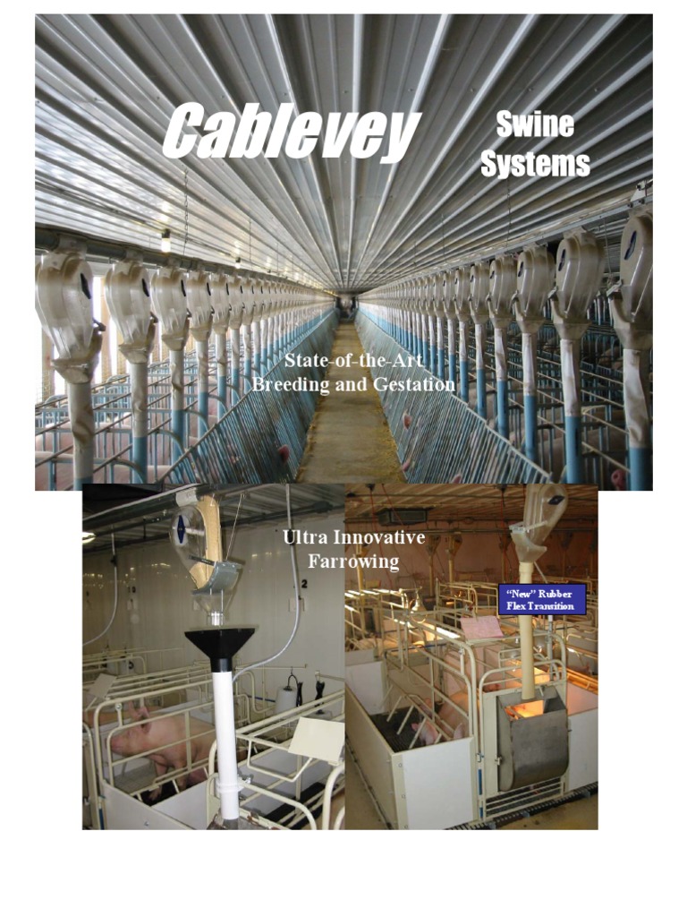 Cablevey Swine Feeding Innovations | PDF | Plastic | Weaning