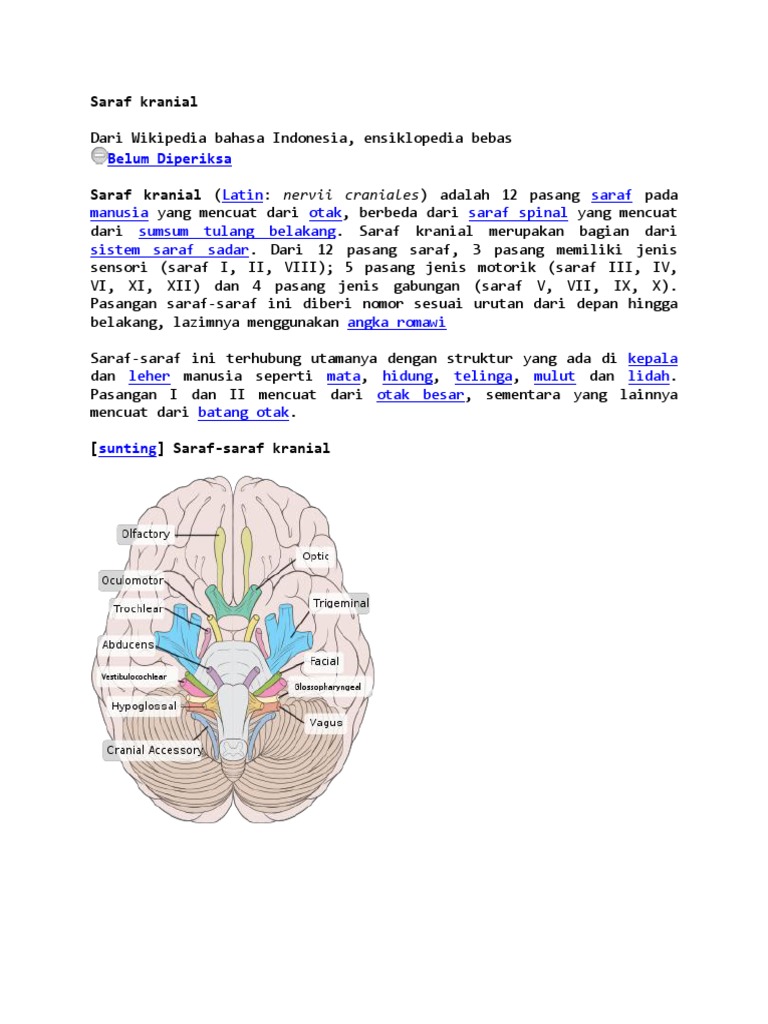 Sistem Saraf Kranial | PDF