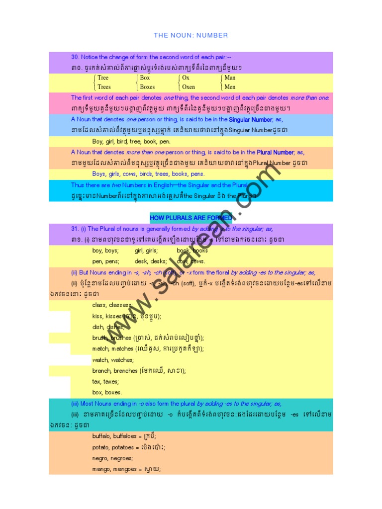 Noun Number: Singular and Plural Forms | PDF