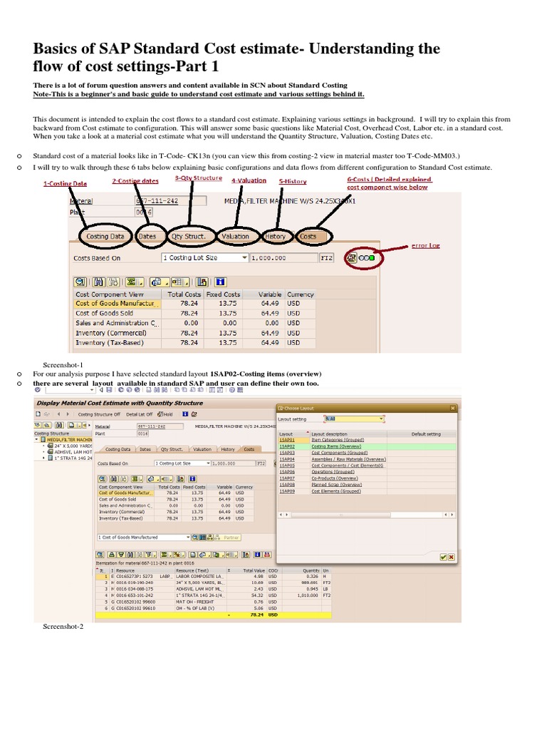 Basics of SAP Standard Cost Estimate 1 | PDF | Computing | Business