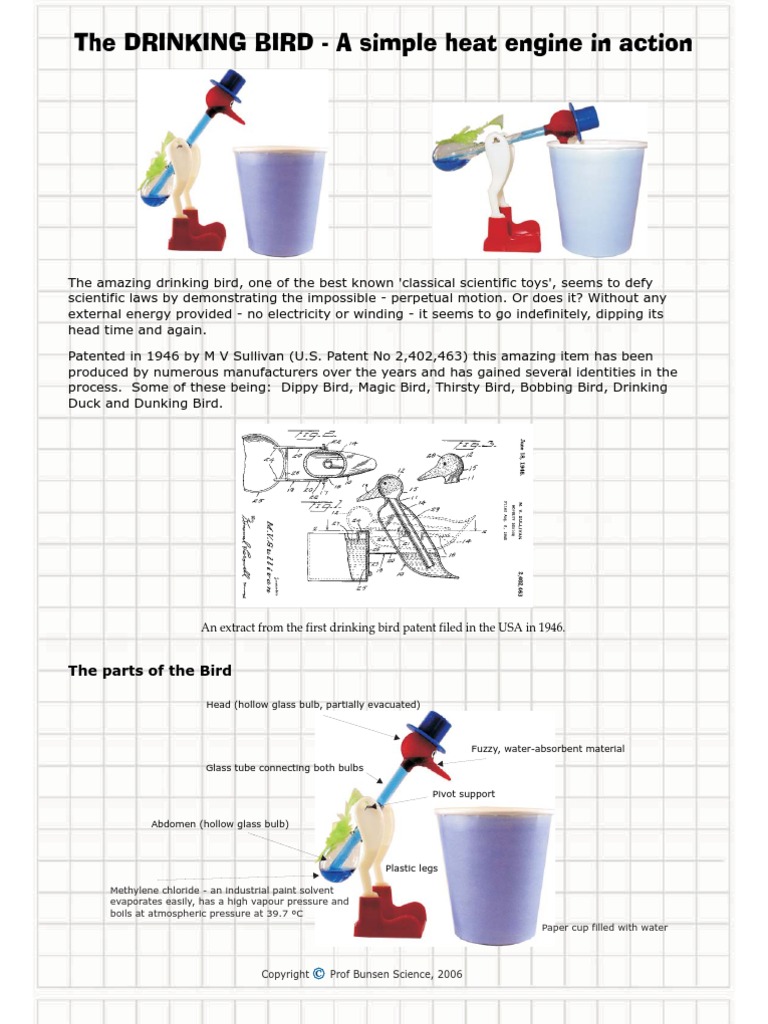 Drinking Bird | Download Free PDF | Evaporation | Liquids