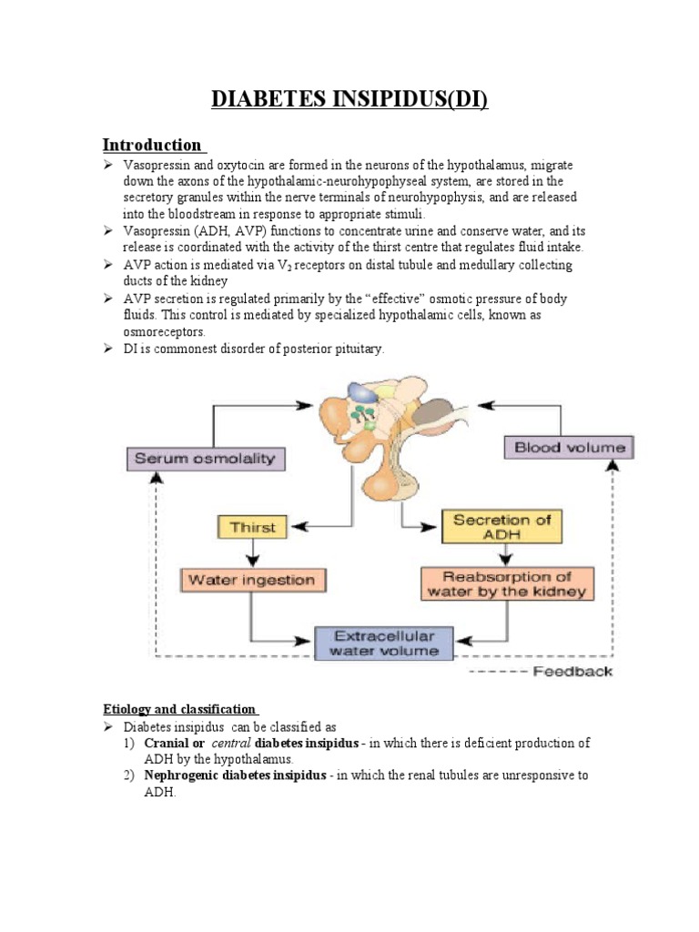 Diabetes Insipidus (Di) : Etiology and Classification | PDF | Animal ...