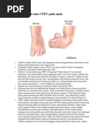 Skema Dermatom Dan Sklerotom | PDF