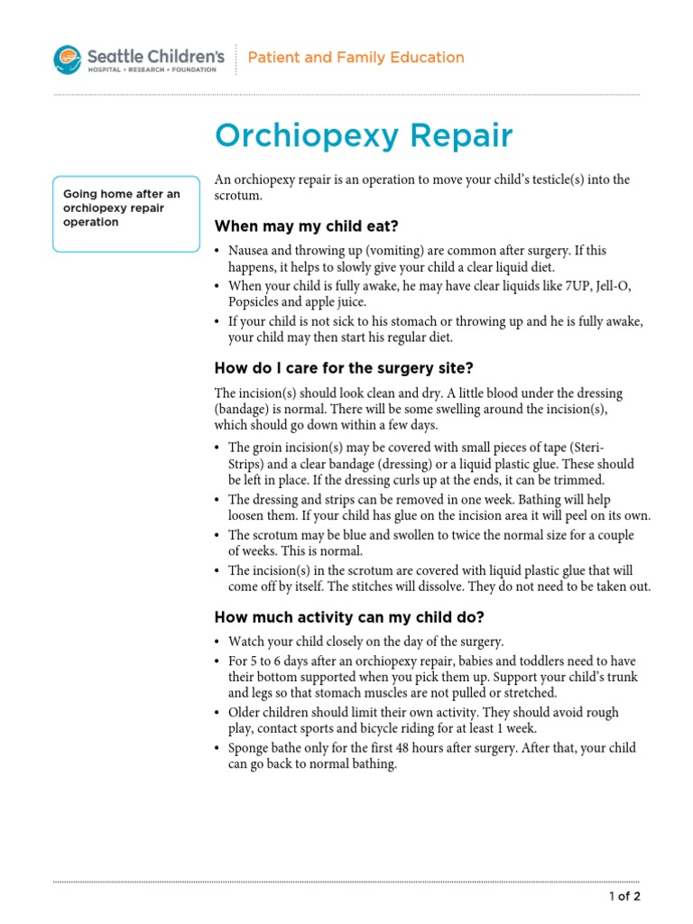 Orchiopexy Repair: When May My Child Eat? | PDF | Wellness