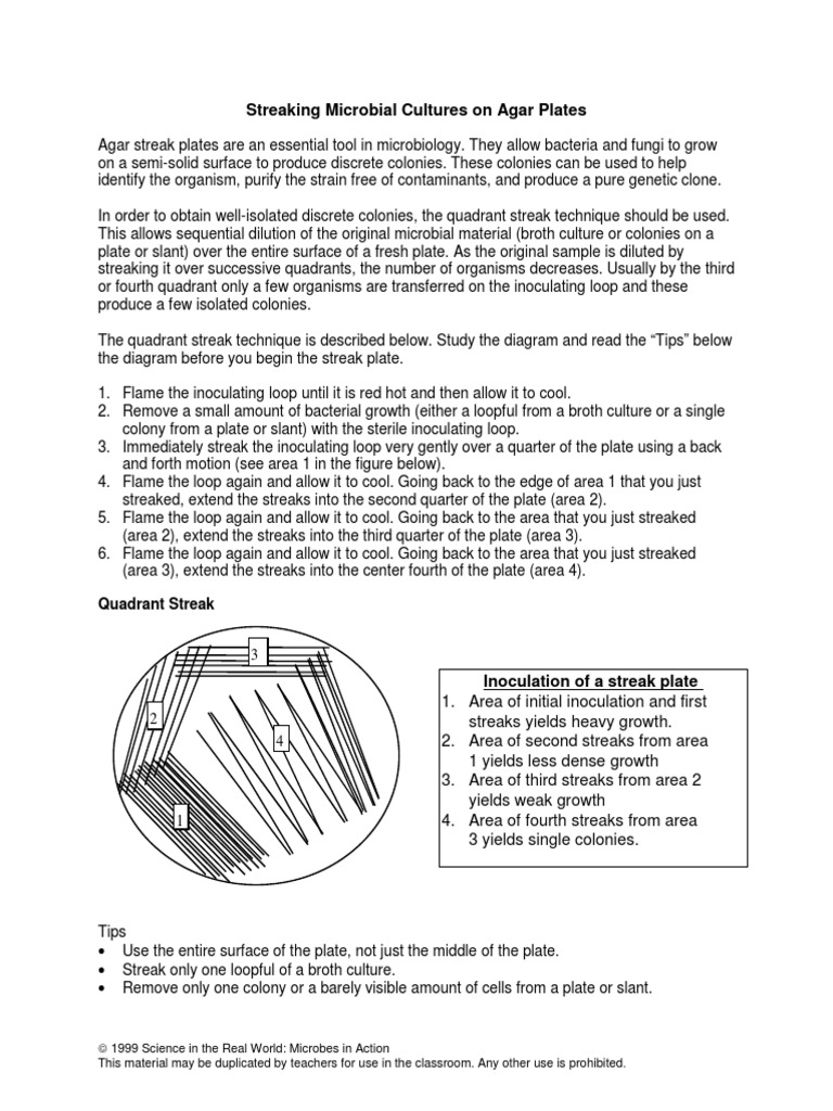 Streak Plates | Scientific Techniques | Pathology