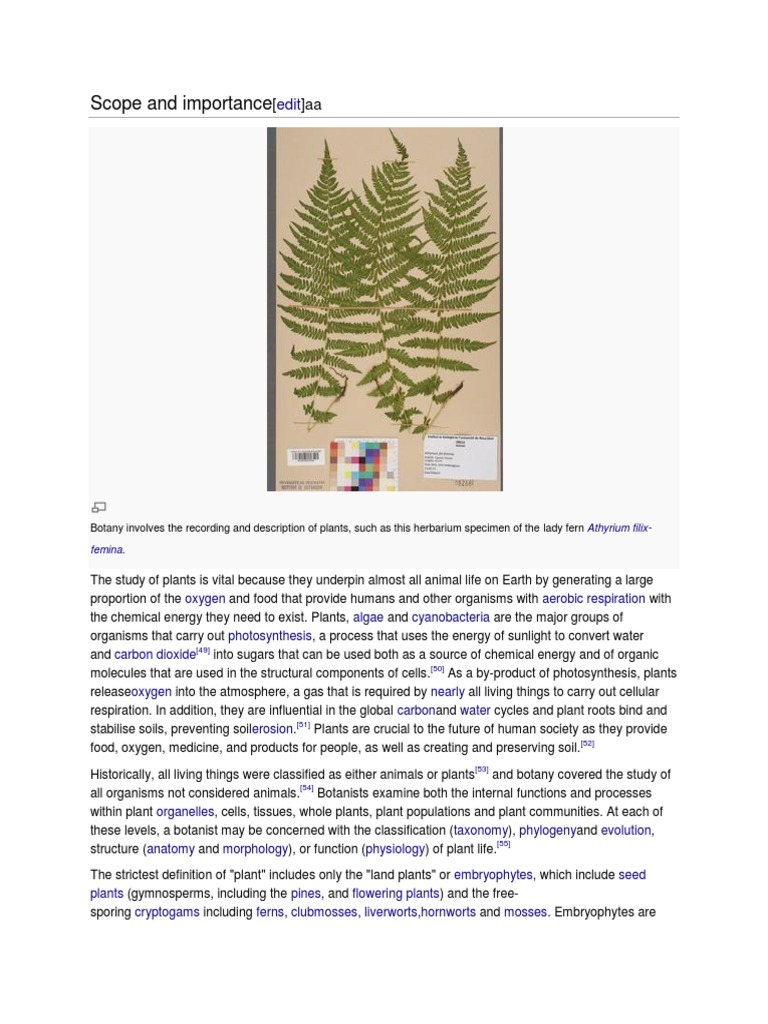 Scope and Importance | PDF | Botany | Plants