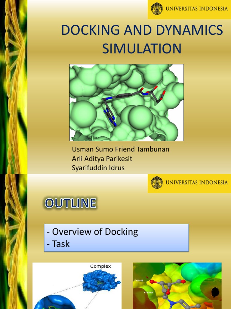 Docking & Dynamics | PDF | Docking (Molecular) | Ligand (Biochemistry)