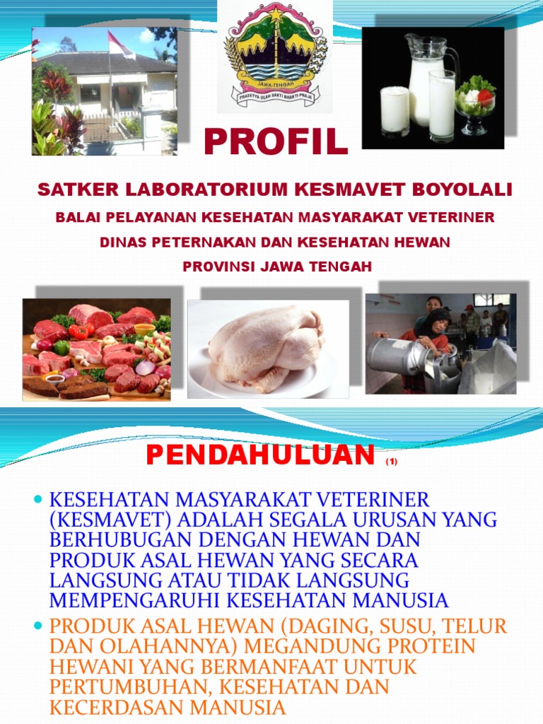 Profil Lab Kesmavet Boyolali | PDF